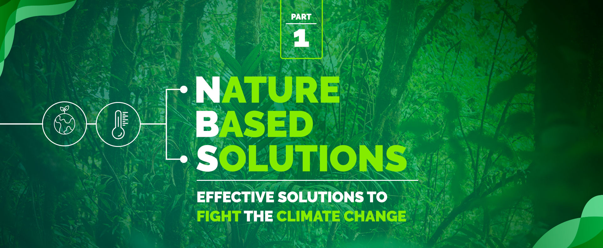 Nature-Based Solutions: Effective Strategies to Combat Climate Change