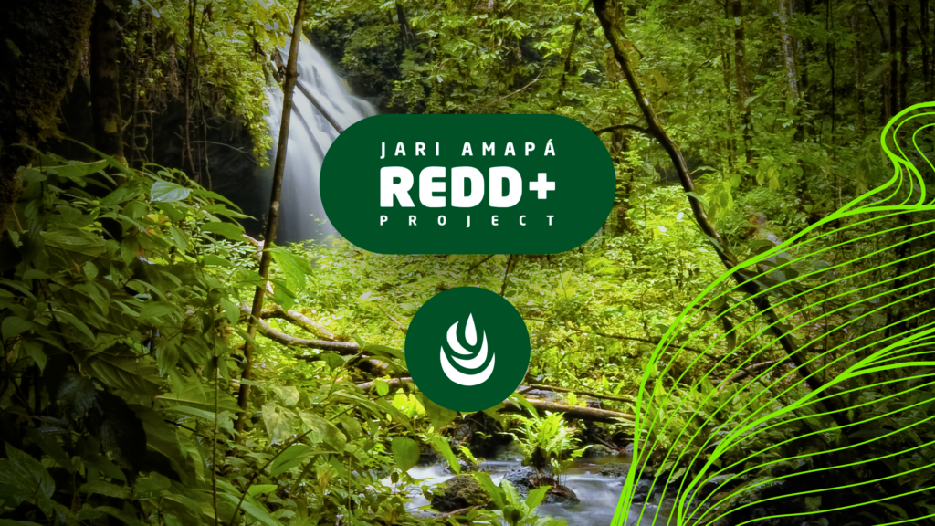 Jari Amapá REDD+ Project - Biofílica